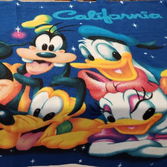 Disney | Bedding | Oblong Photo Disney Characters California Plush ...